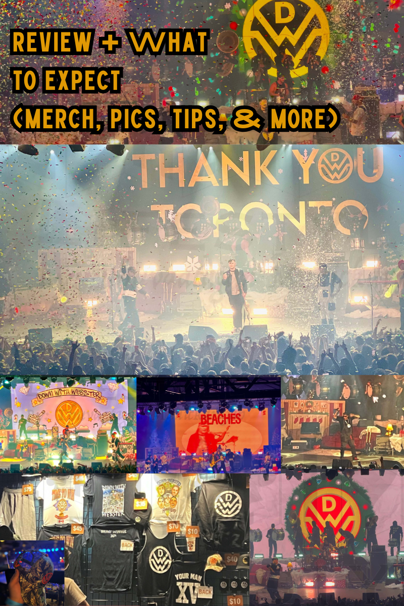REVIEW + WHAT TO EXPECT: DOWN WITH WEBSTER CONCERT - CHIP Lifestyle
